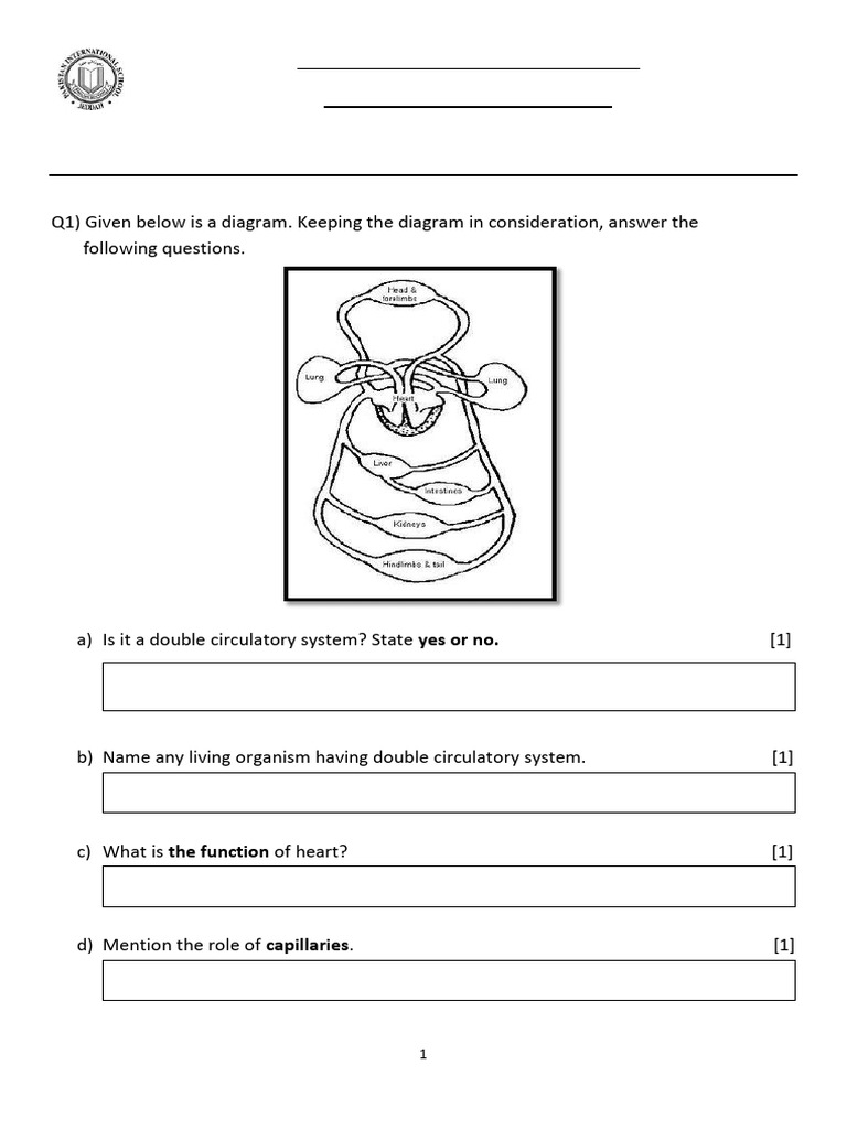 Circulatory and Respiratory System | PDF | Circulatory System | Breathing