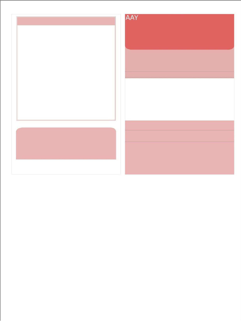 AAY Apl Card | PDF