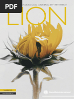 Lions Clubs International Organization Brand Guidelines en | PDF ...