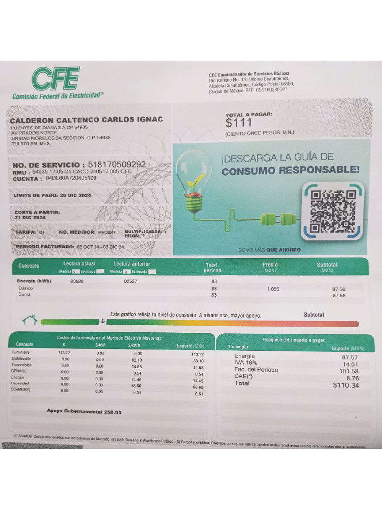 Comprobante de Domicilio CFE Carlos Ignacio Calderón Caltenco | PDF