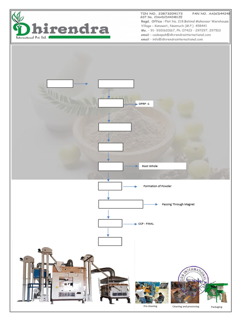 Amla Powder Production Process | PDF