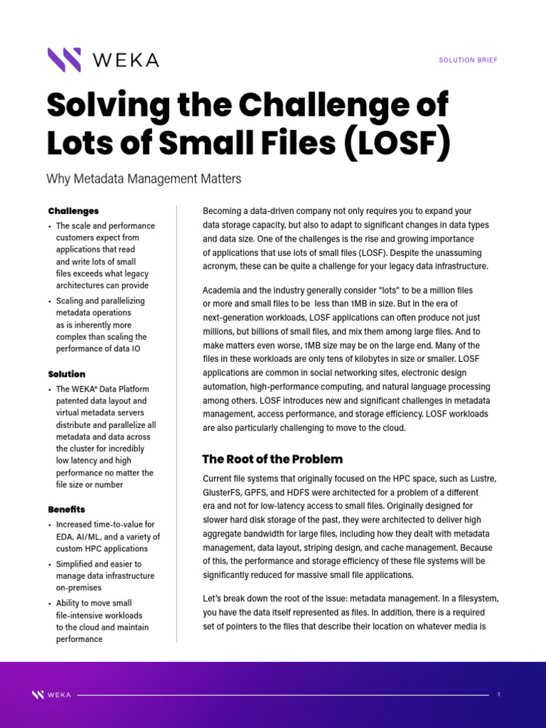 Weka Solving Challenge Lots of Small Files Losf | PDF | File System ...