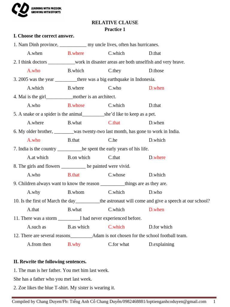 Relative Clause - Practice | PDF