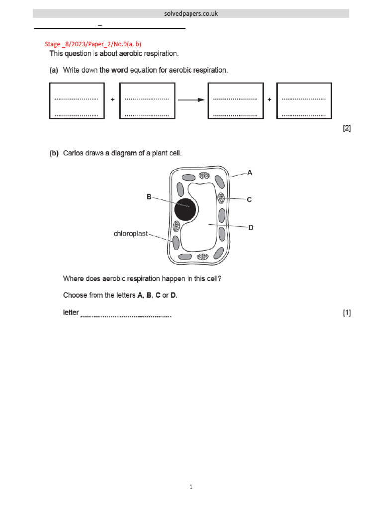 2023 2 Aerobic Respiration Checkpoint Sec 1 Progression Stage 8 | PDF