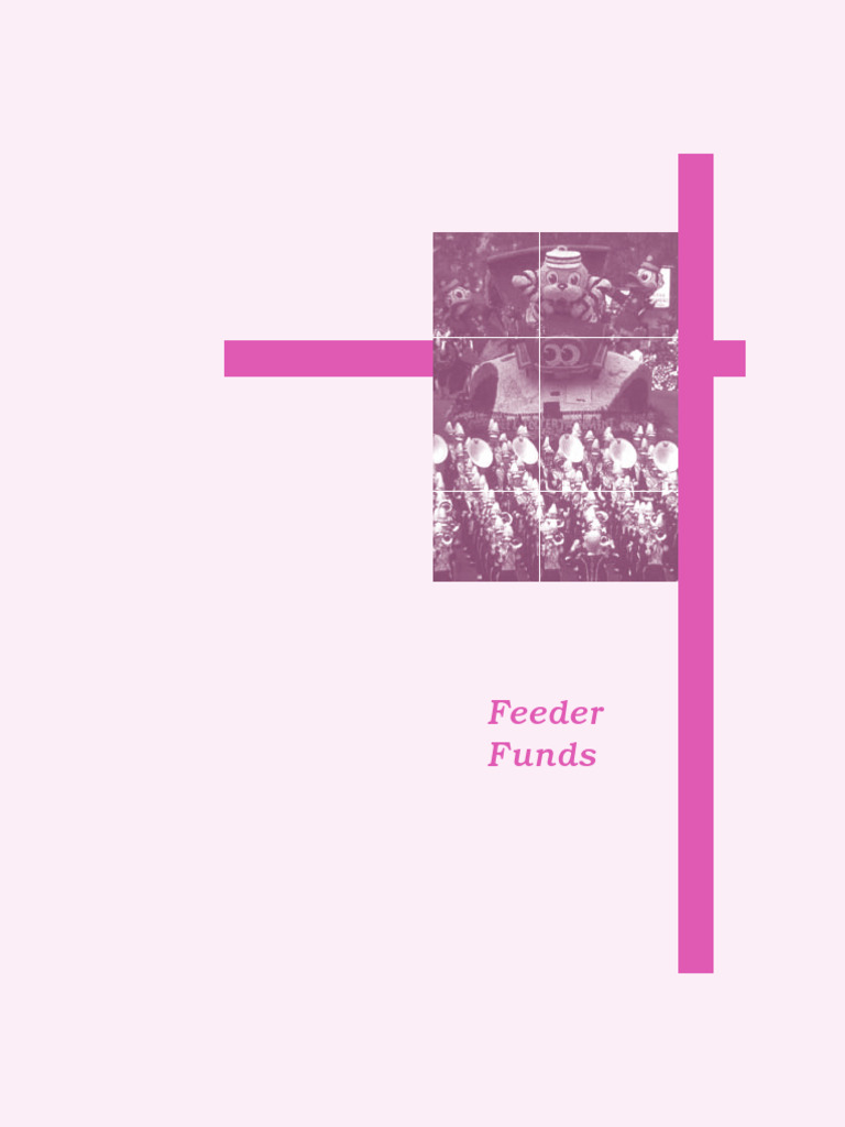 California Feeder Funds Balance Sheet | PDF | Taxes | Expense
