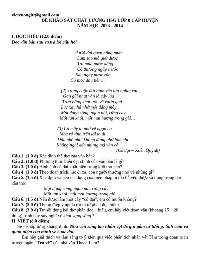 Văn. Đề HSG | PDF