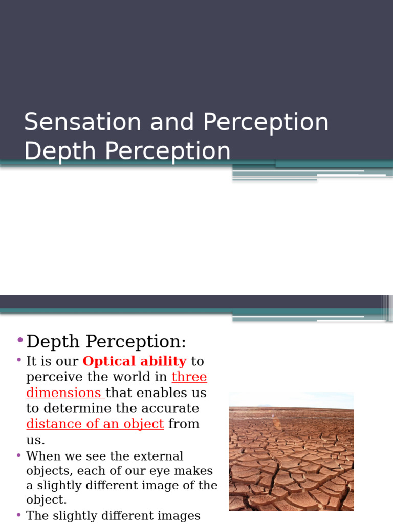 Chapter 3 Sensation and perception-II | PDF | Neuropsychological ...