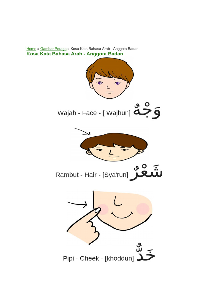 Anggota Tubuh DGN B. Arabx | PDF