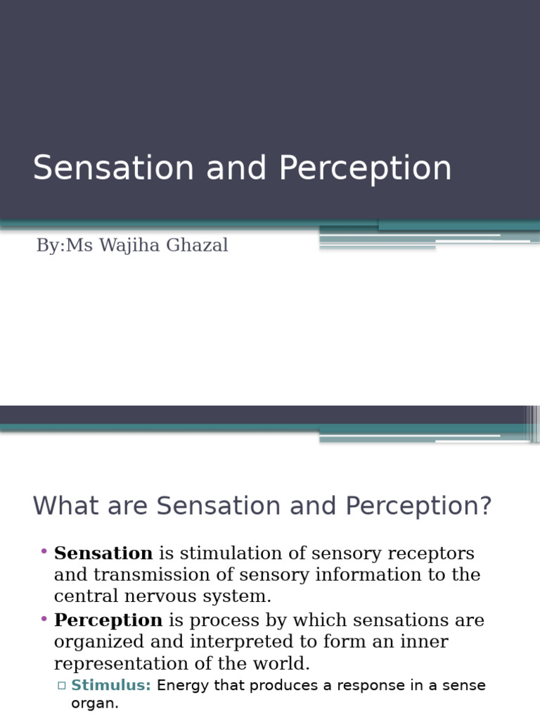 Chapter 3 Sensation and Perception-1 | PDF | Senses | Perception