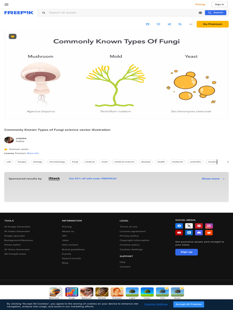 Premium Vector Commonly Known Types of Fungi Science Vector ...