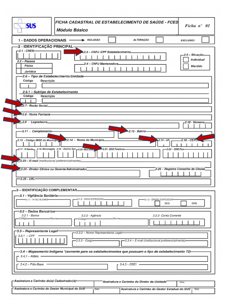 Fichas - Preenchimento Cnes | PDF