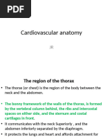 Anatomy of the Trunk Overview | PDF | Abdomen | Thorax