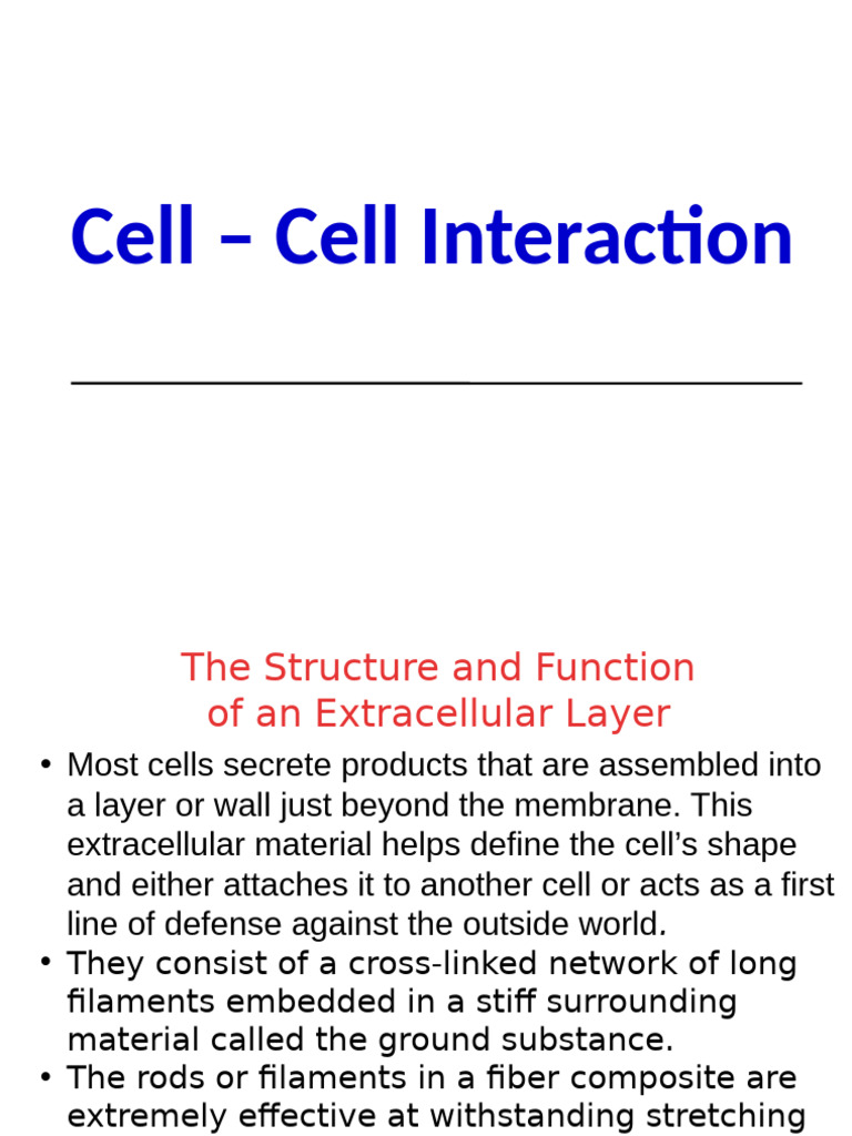 Extracellular Matrix & Cell Connections | PDF | Extracellular Matrix ...