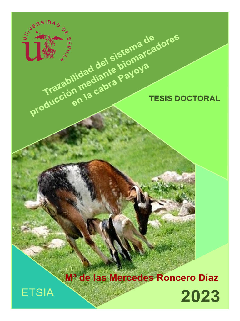 ?UTF-8?Q?Roncero D C3 ADaz, Mar C3 ADa de Las Mercedes Tesis | PDF ...