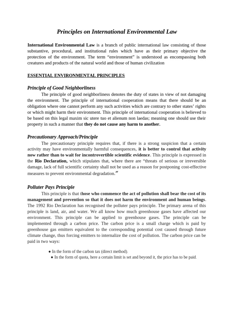 Principles On International Environmental Law | PDF | Sustainability ...