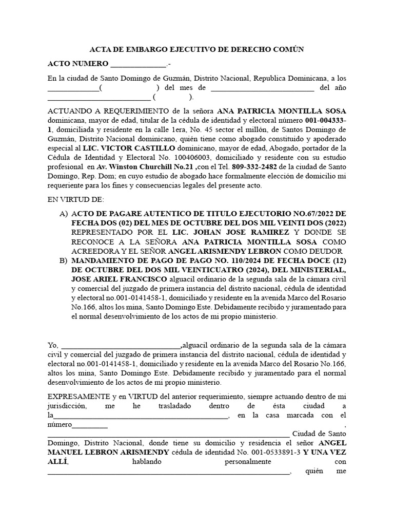 Acta de Embargo Ejecutivo de Derecho Común | PDF | Pagos