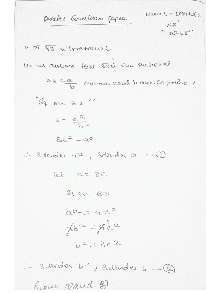 LAKSHIT.S MATHS WORKSHEET PDF | PDF