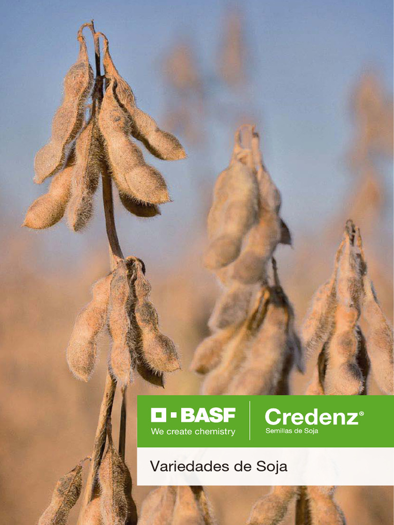 UY - Panfleto - Credenz® | PDF | Agricultura | Morfología Vegetal