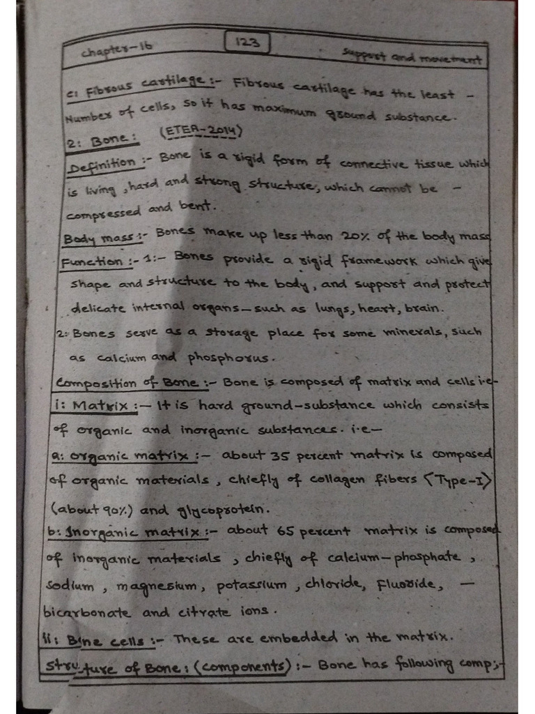 How To Apply For Job Pdf