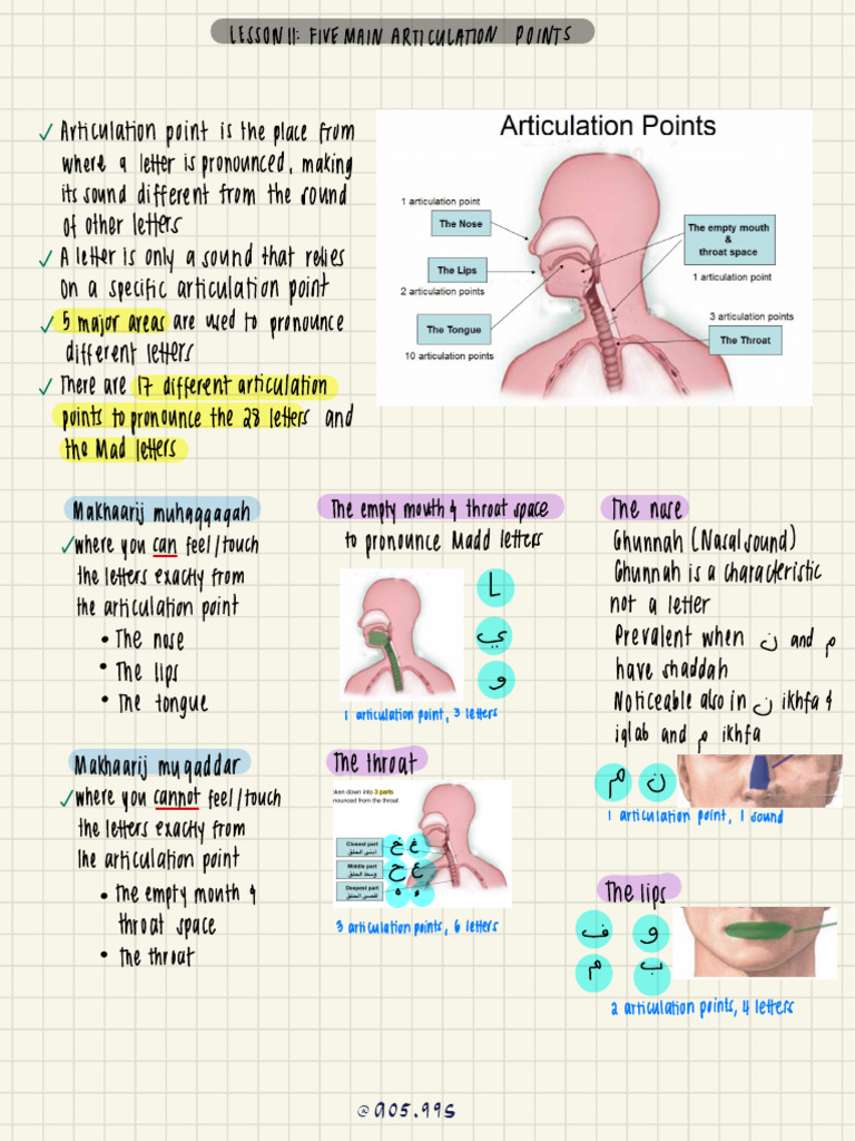 Understanding Articulation Points in Letters | PDF | Respiratory System ...