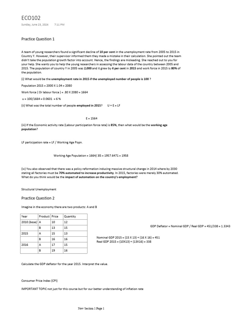 ECO102 Practice Questions | PDF | Inflation | Consumer Price Index