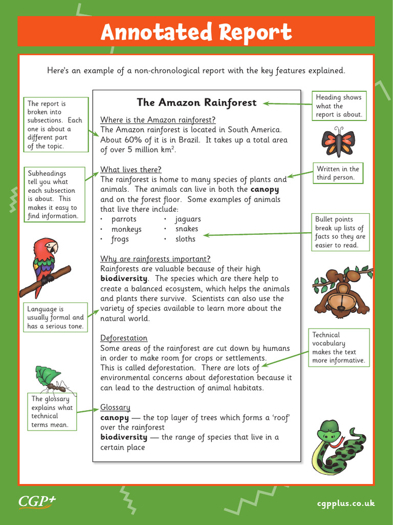 Amazon Rainforest Non-Chronological Report | PDF | Rainforest ...