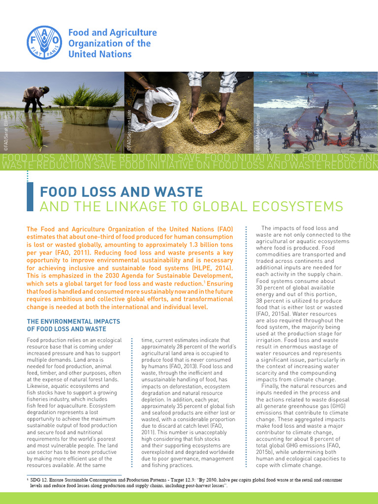 (FAO) - 2017 - Food Loss and Waste and The Linkage To Global Ecosystems ...