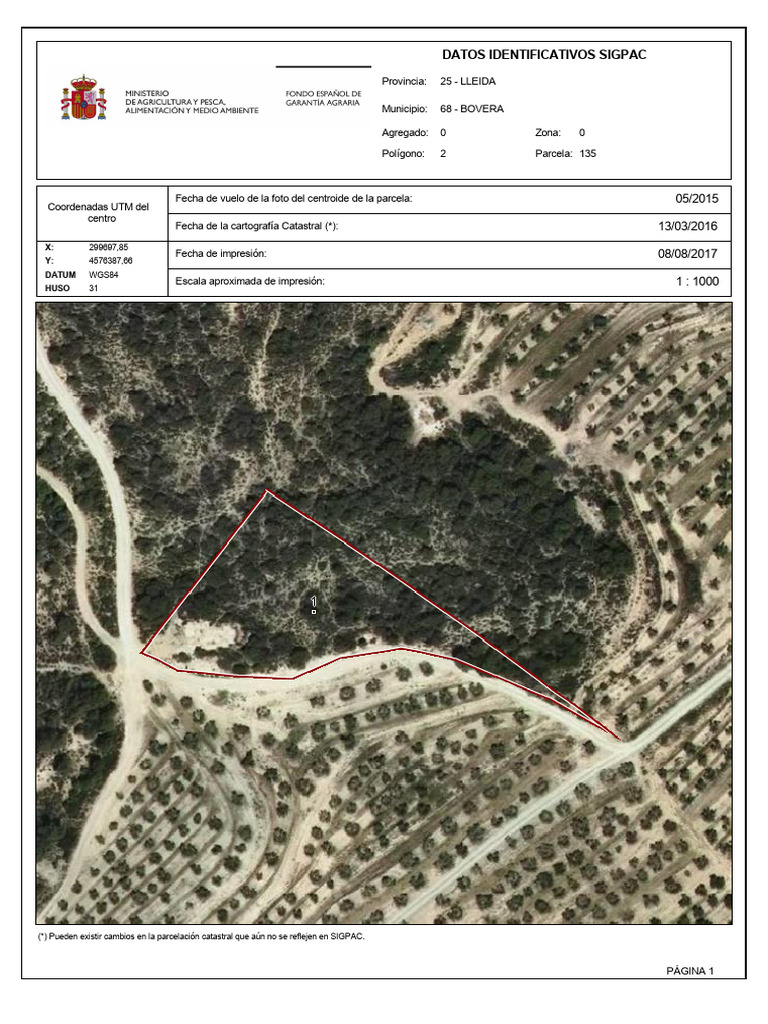 Ficha Sigpac | PDF | Geofísica | Geodesia