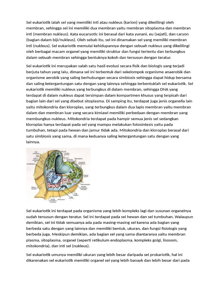 Sel Eukariotik Ialah Sel Yang Memiliki Inti Atau Nukleus | PDF