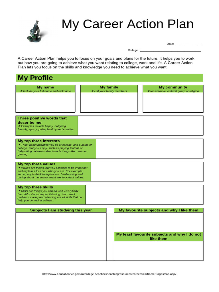 Comprehensive Career Action Plan Example | PDF | Goal | Cognition