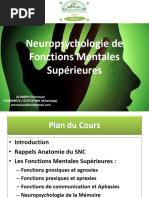 Le Syndrome Frontal | PDF | Cortex préfrontal | Neuroscience