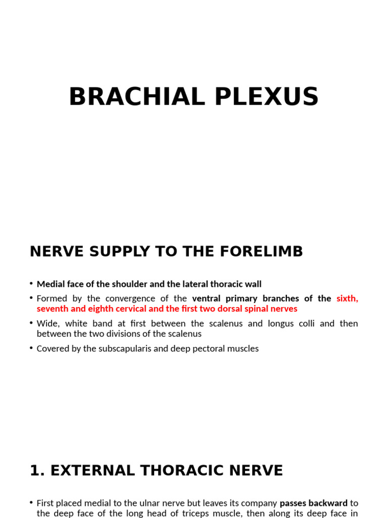 Brachial Plexus | PDF | Arm | Limbs (Anatomy)