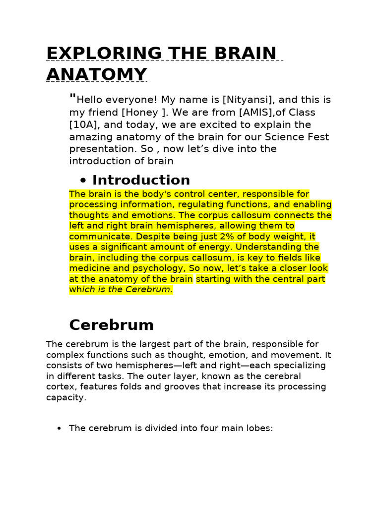 EXPLORING THE BRAIN ANATOMY 2 | PDF | Brainstem | Brain