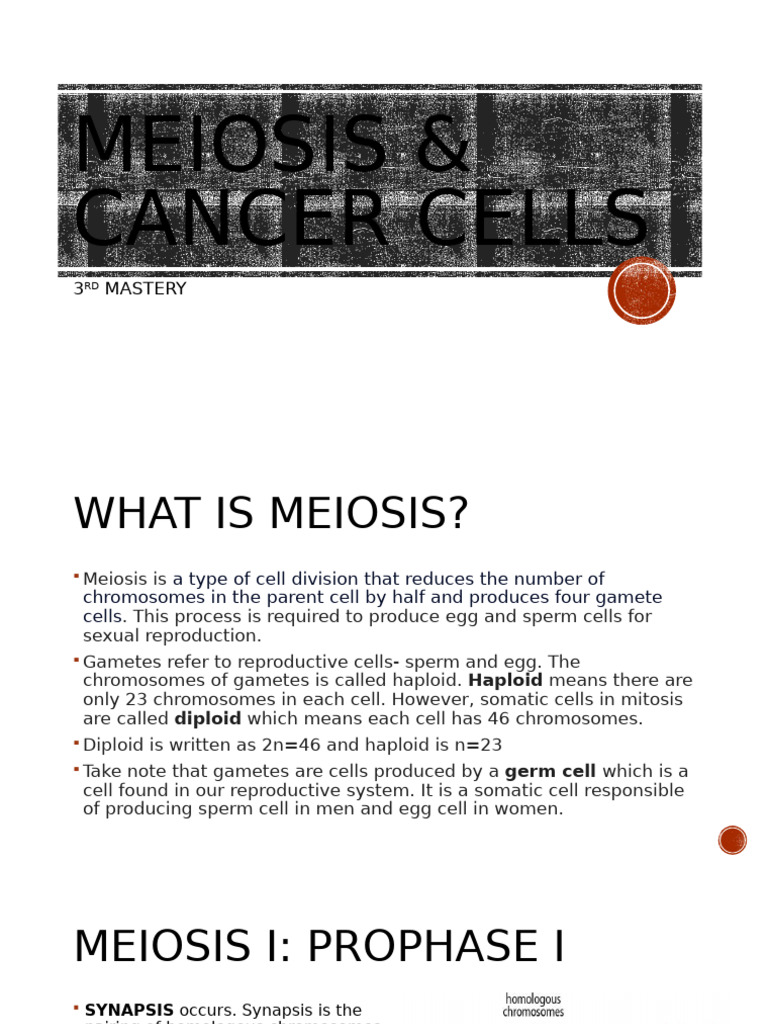 Cell Division & Cancer Overview | PDF | Meiosis | Mitosis