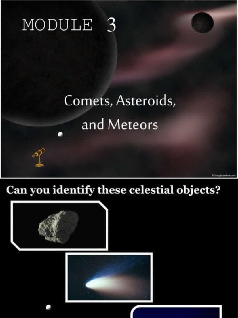 Asteroids, Comets and Meteors | PDF