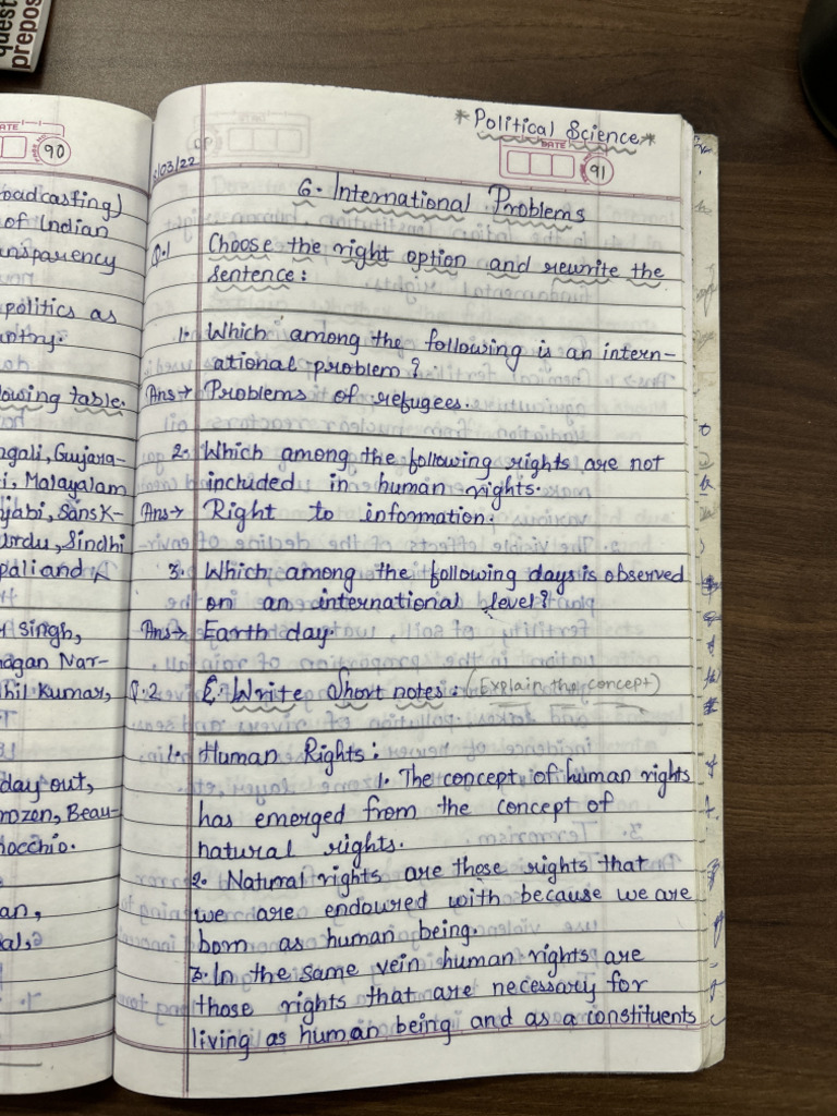 Political Science Chapt 6 | PDF