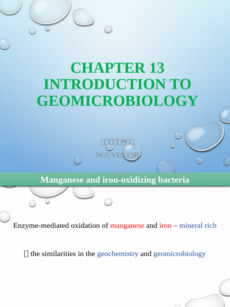 Geomicrobiology: Iron & Manganese Bacteria | PDF | Weathering | Petroleum