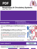 The Respiratory System Diagram No Labels - Google Searcho | PDF ...