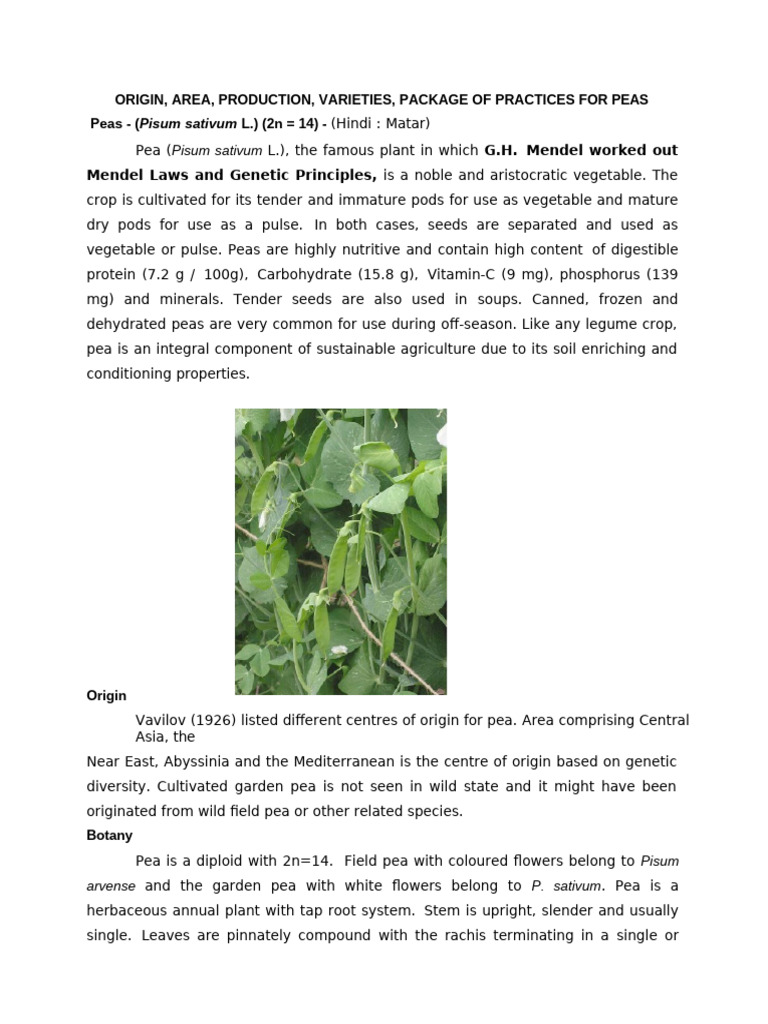 Peas and Beans Notes | PDF | Pea | Legume