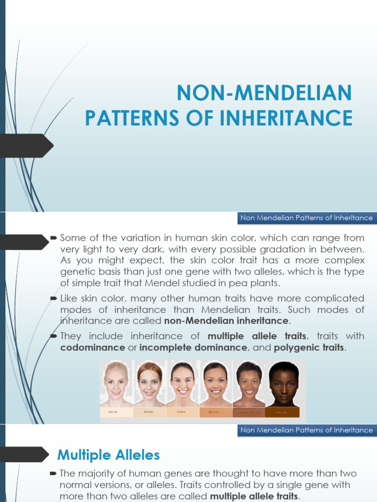 Lesson 3. Non Mendelian Patterns of Inheritance | PDF | Dominance (Genetics) | Allele