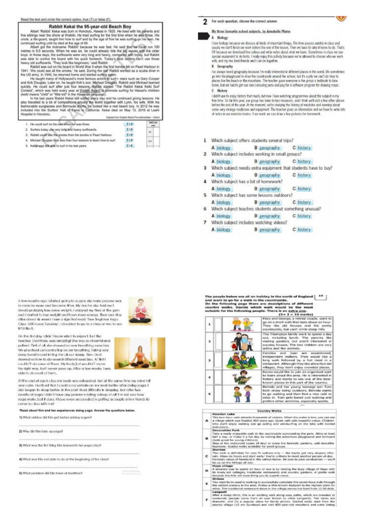 Reading Term Exam 2 | PDF
