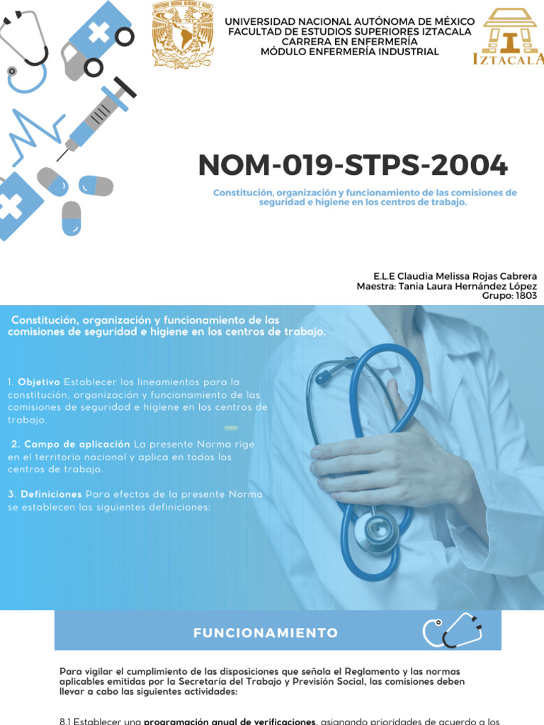 Nom 019 STPS 2004 | PDF