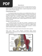 Lesiones Del Plexo Lumbar y Sacro | PDF | Nervio | Especialidades Medicas