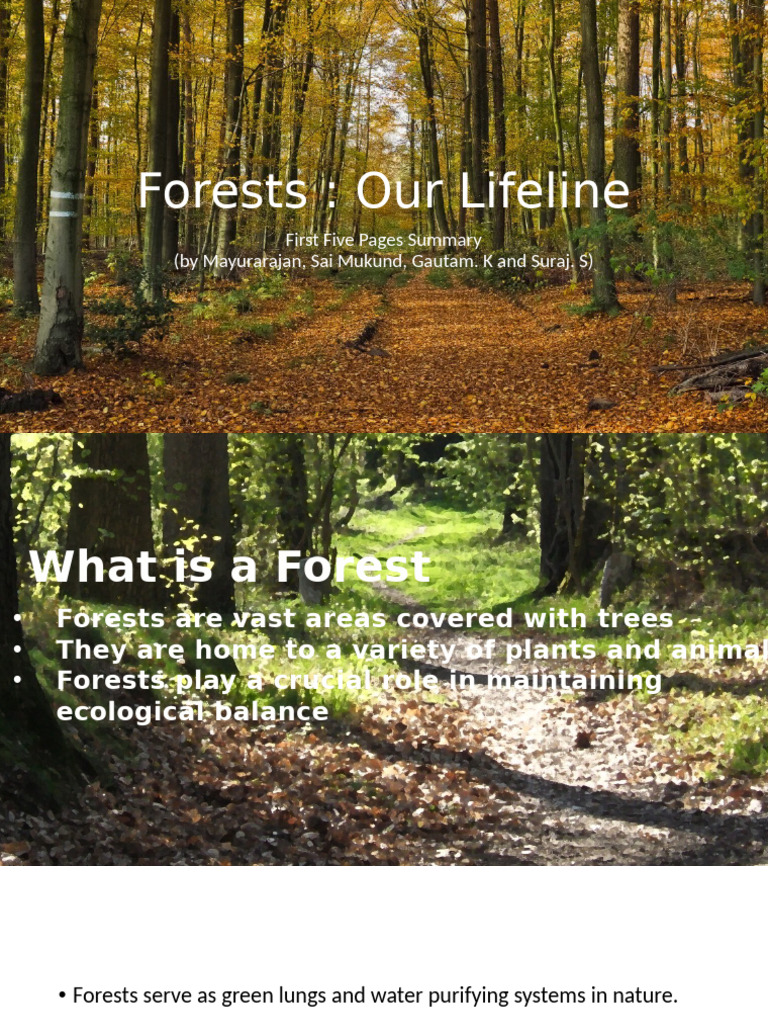 Forests | PDF