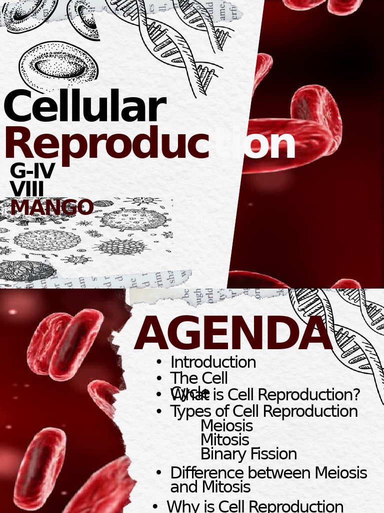 Cellular Reproduction - 20250226 - 040247 - 0000 | PDF | Meiosis | Mitosis