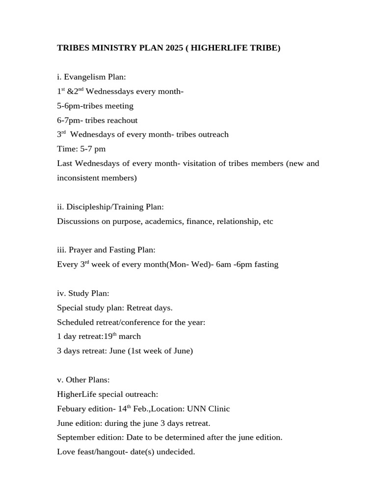 HigherLife Tribe Ministry Plan 2025 | PDF