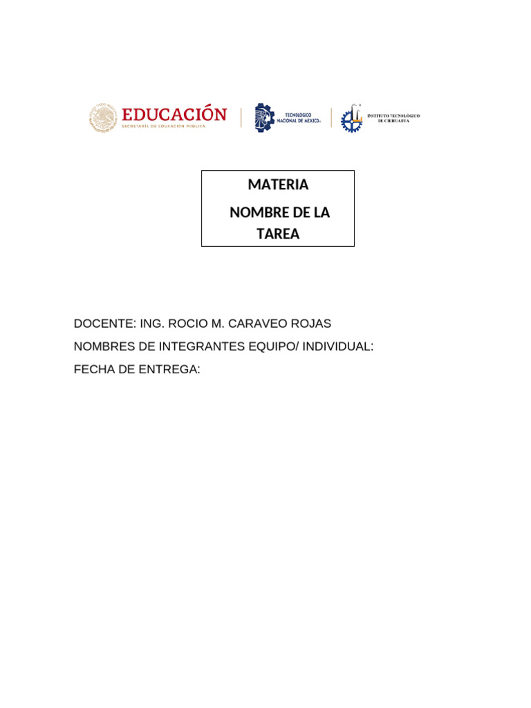 FORMATO TAREAS Nuevo | PDF