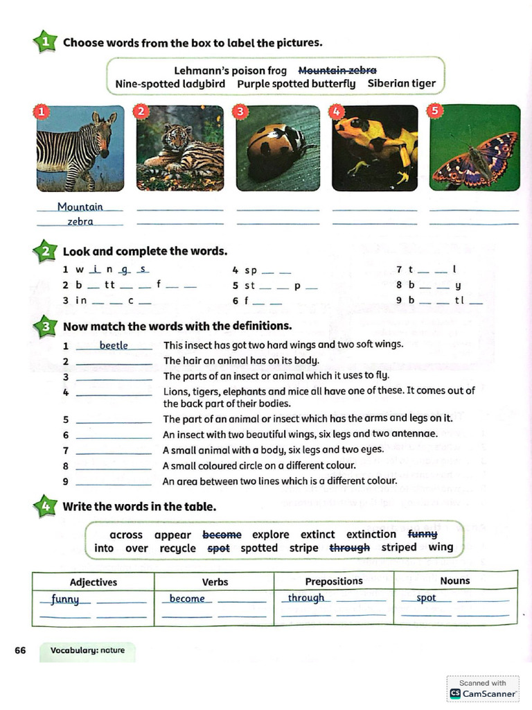 Kid Box 5 Activity | PDF