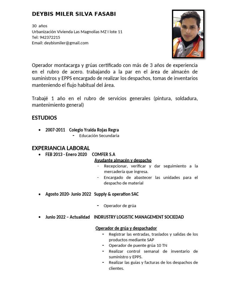 Deybis Silva CV | PDF