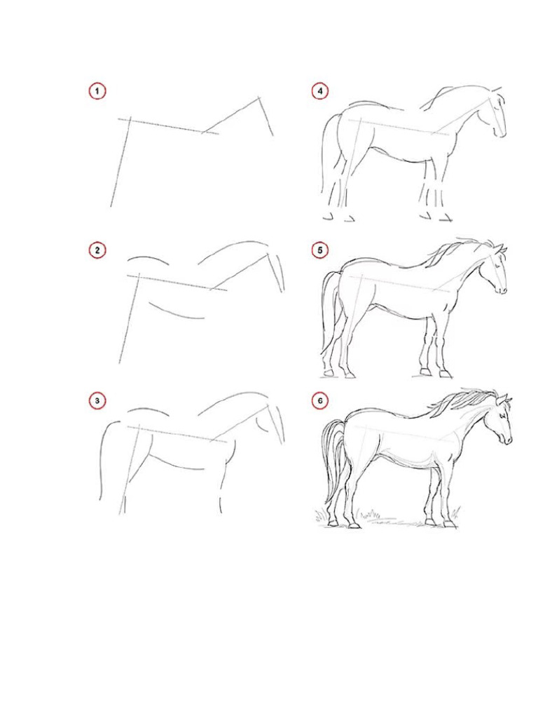 Reyden Colorear | PDF